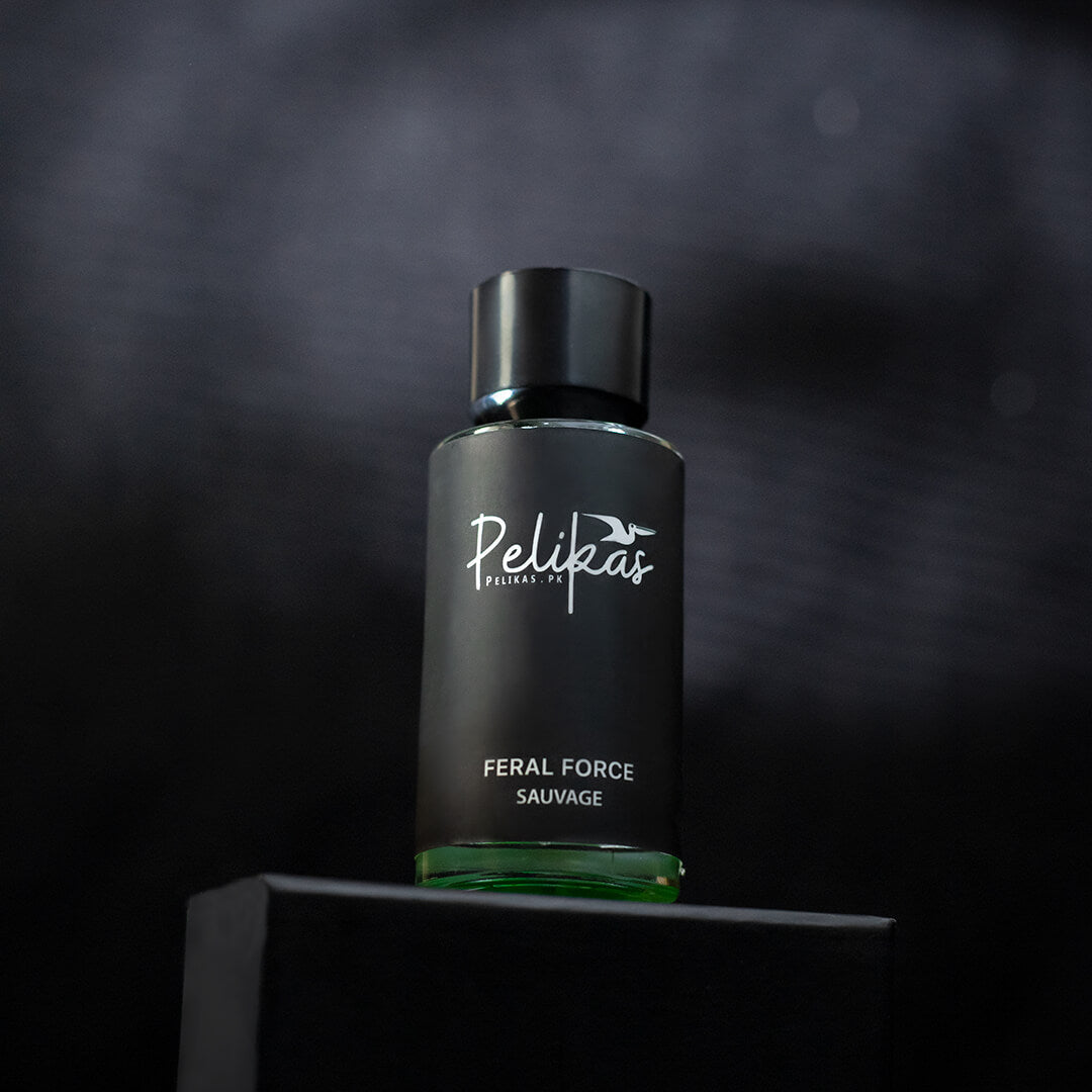 Perfect Perfume Gift Box for Men in Pakistan | Pelikas.pk